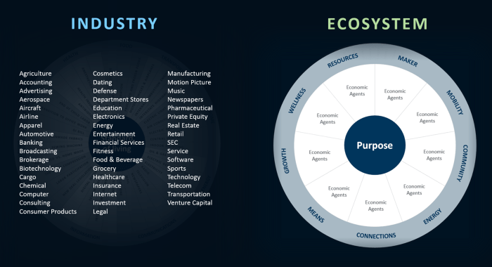 The Rise of Ecosystems | Reimagining the Future